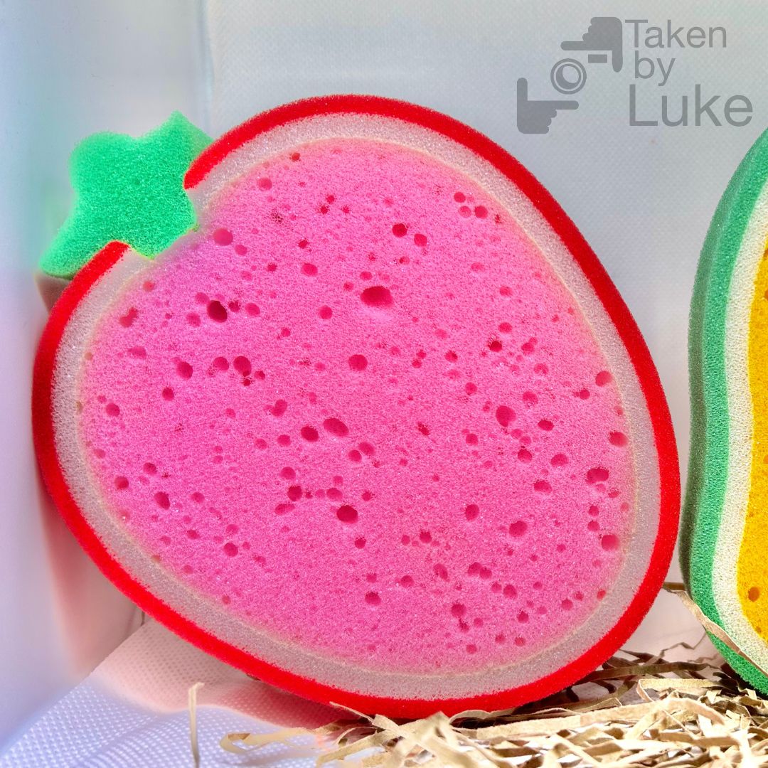 Fruit Sponge – The Washclub